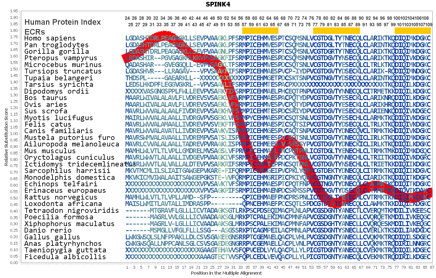 SPINK4 Gene - GeneCards | ISK4 Protein | ISK4 Antibody