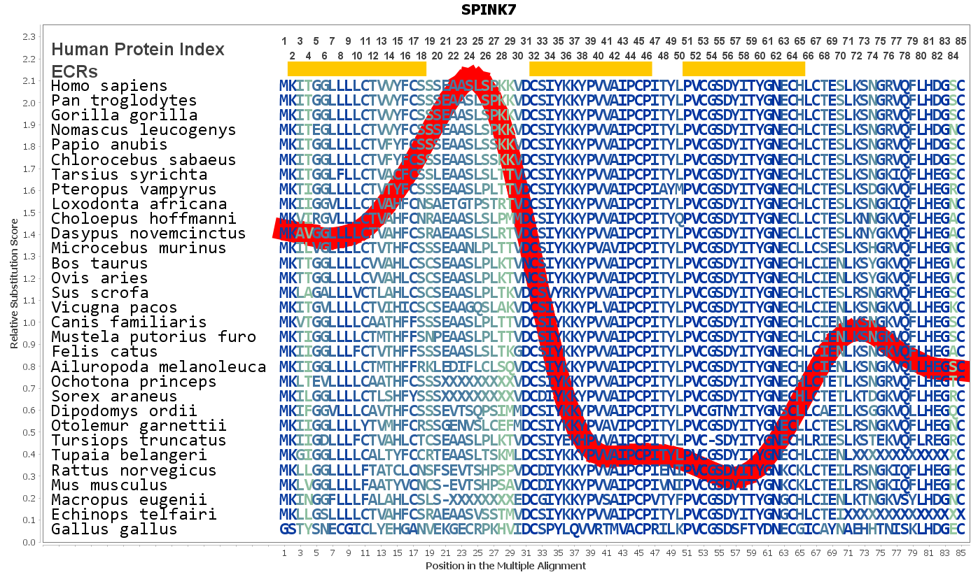 SPINK7 Gene - GeneCards | ISK7 Protein | ISK7 Antibody