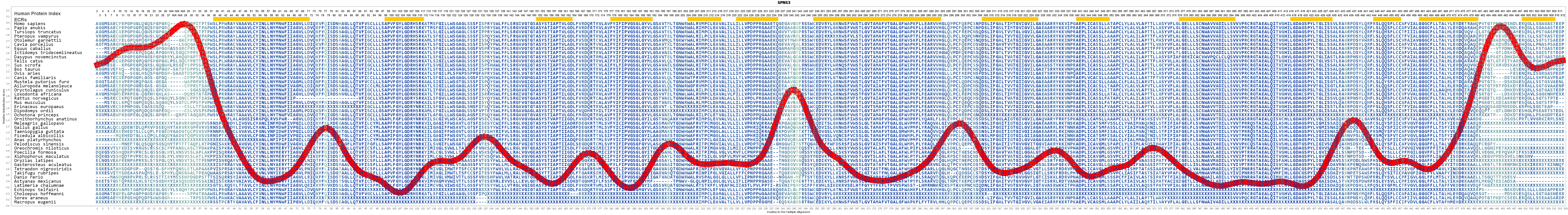 SPNS3 Gene - GeneCards | SPNS3 Protein | SPNS3 Antibody