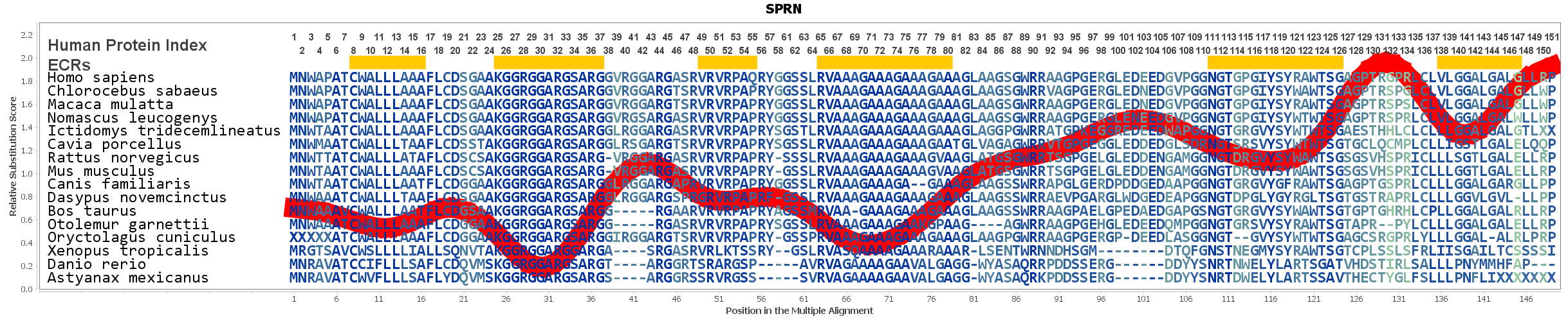 SPRN Gene - GeneCards | SPRN Protein | SPRN Antibody