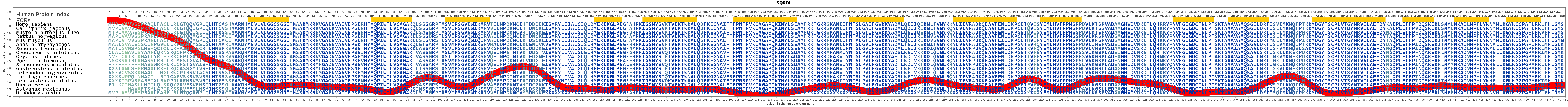 SQOR Gene - GeneCards | SQOR Protein | SQOR Antibody