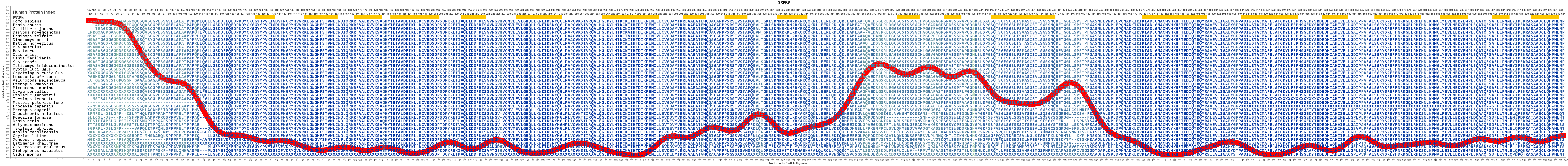 SRPK3 Gene - GeneCards | SRPK3 Protein | SRPK3 Antibody