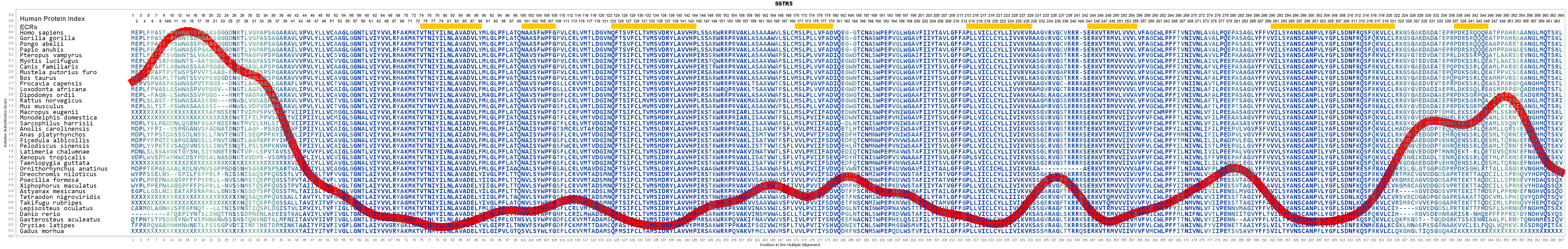 SSTR5 Gene - GeneCards | SSR5 Protein | SSR5 Antibody