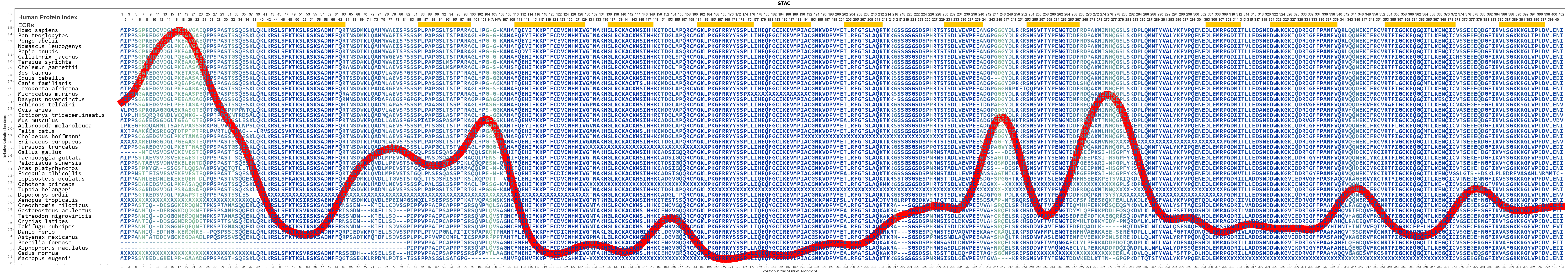 STAC Gene - GeneCards | STAC Protein | STAC Antibody