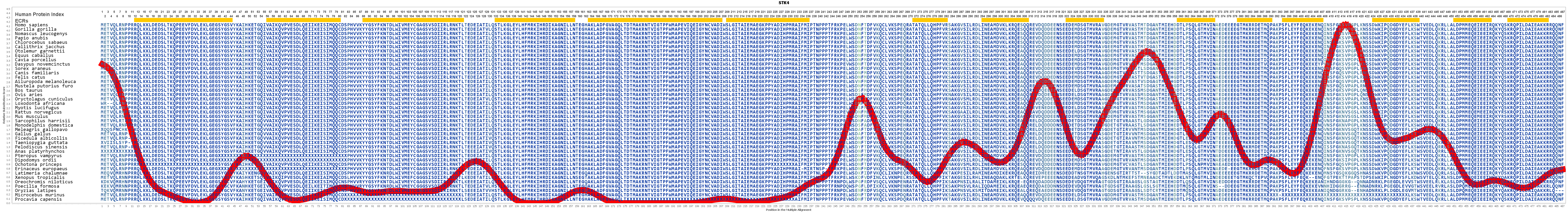 STK4 Gene - GeneCards | STK4 Protein | STK4 Antibody