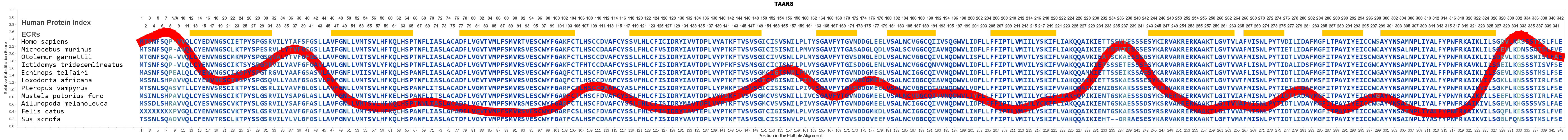 TAAR8 Gene - GeneCards | TAAR8 Protein | TAAR8 Antibody