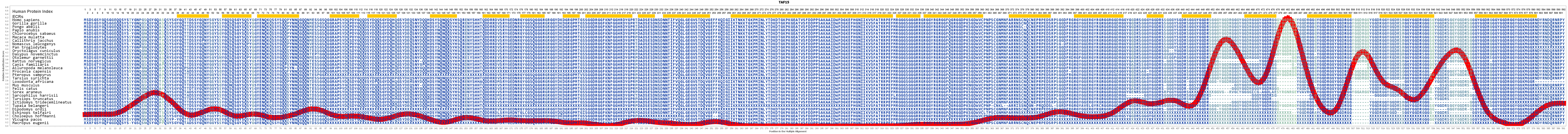 TAF15 Gene - GeneCards | RBP56 Protein | RBP56 Antibody