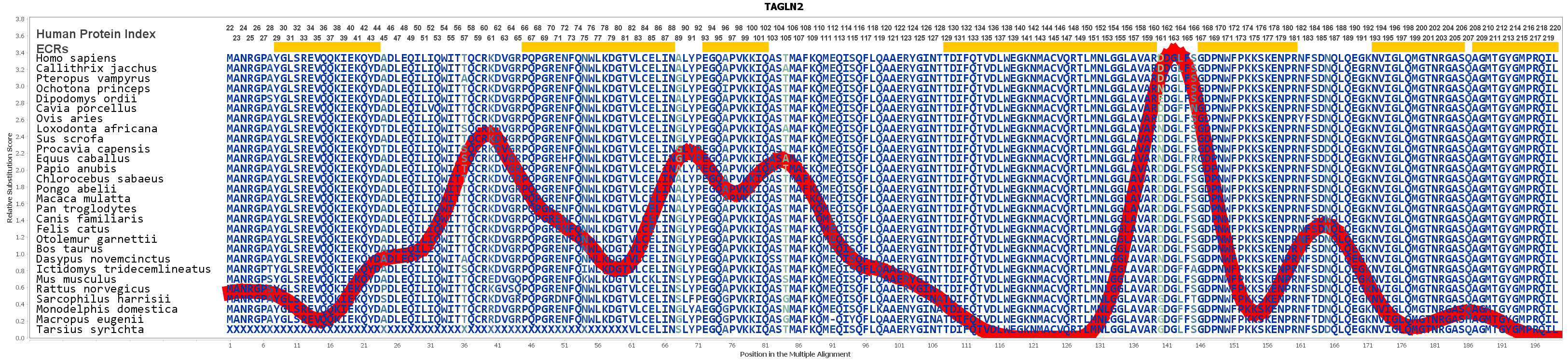 TAGLN2 Gene - GeneCards | TAGL2 Protein | TAGL2 Antibody