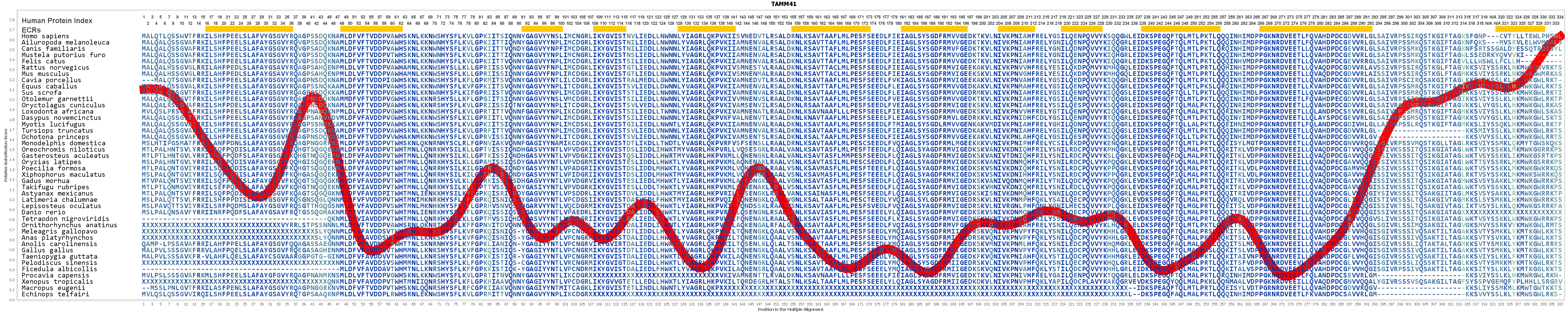 TAMM41 Gene - GeneCards | TAM41 Protein | TAM41 Antibody