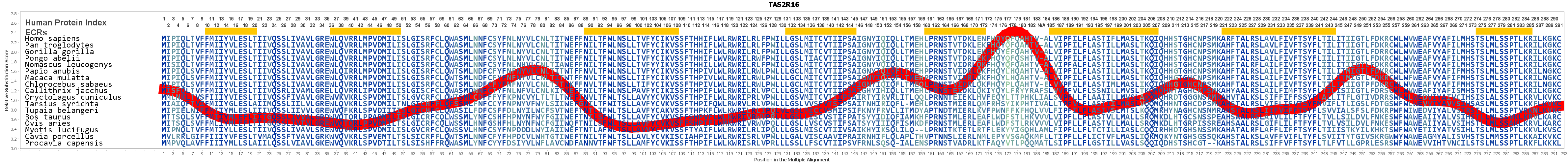 TAS2R16 Gene - GeneCards | T2R16 Protein | T2R16 Antibody