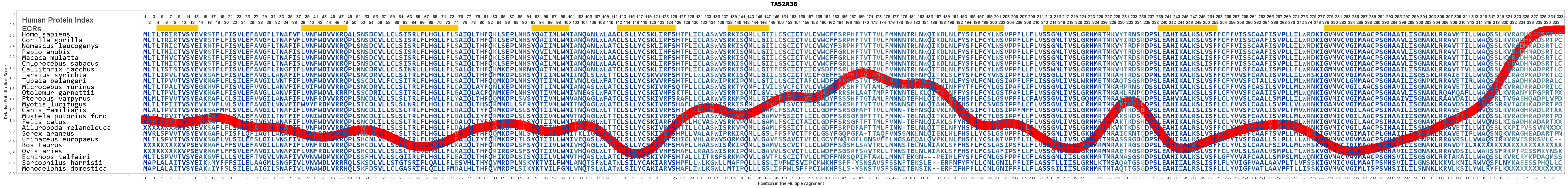 TAS2R38 Gene - GeneCards | T2R38 Protein | T2R38 Antibody