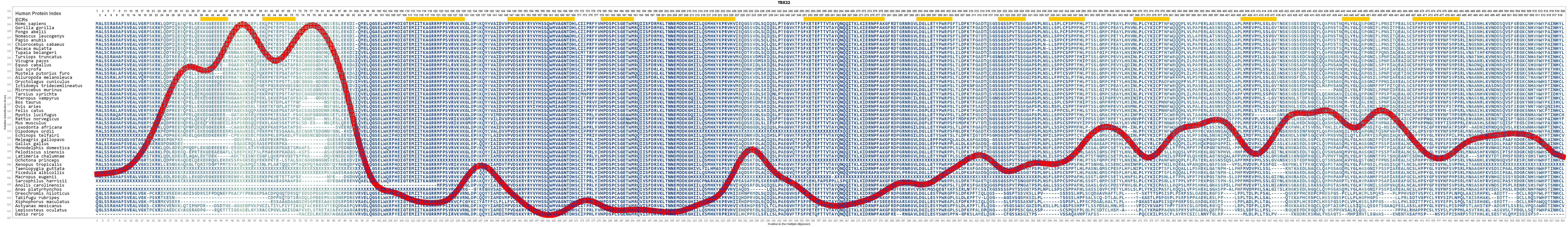 TBX22 Gene - GeneCards | TBX22 Protein | TBX22 Antibody