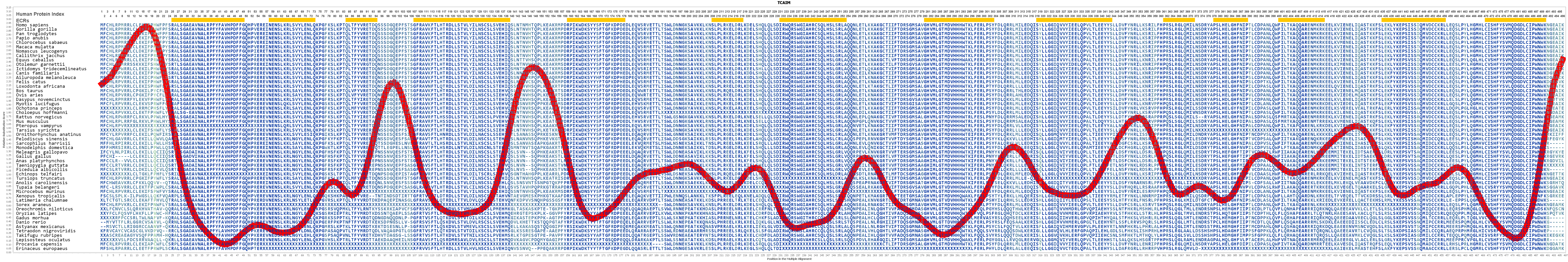 TCAIM Gene - GeneCards | TCAIM Protein | TCAIM Antibody