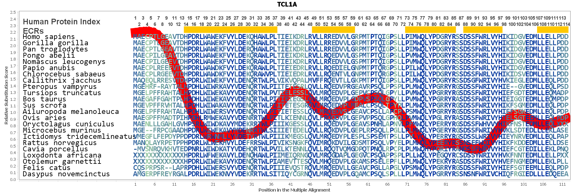 TCL1A Gene - GeneCards | TCL1A Protein | TCL1A Antibody