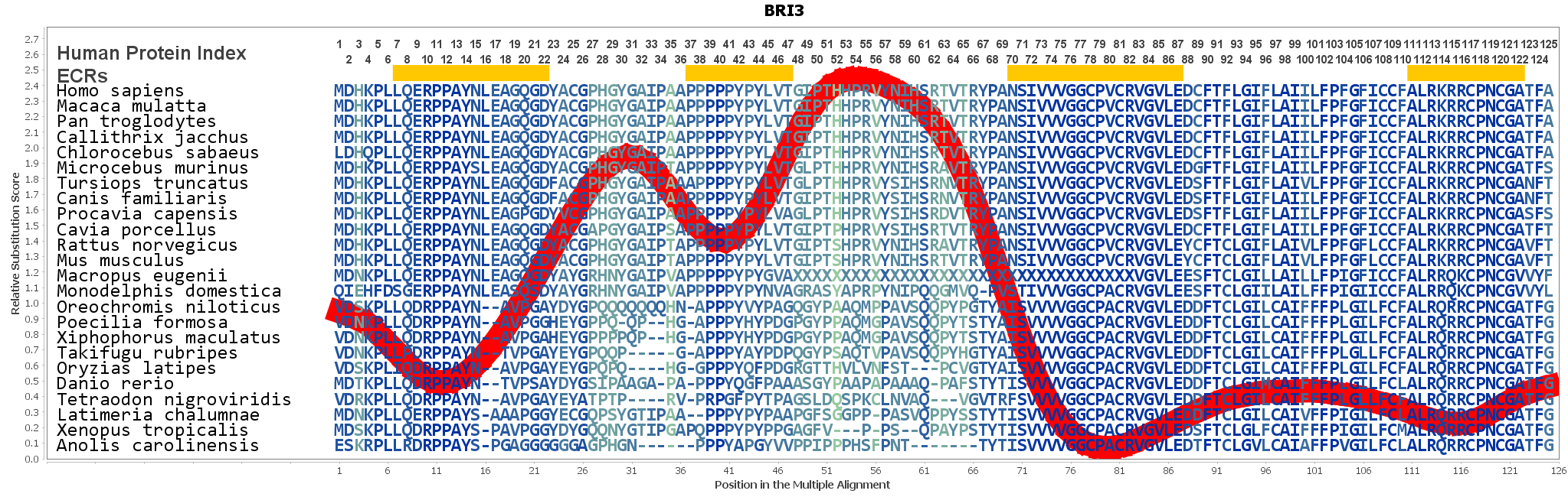 BRI3 Gene - GeneCards | BRI3 Protein | BRI3 Antibody