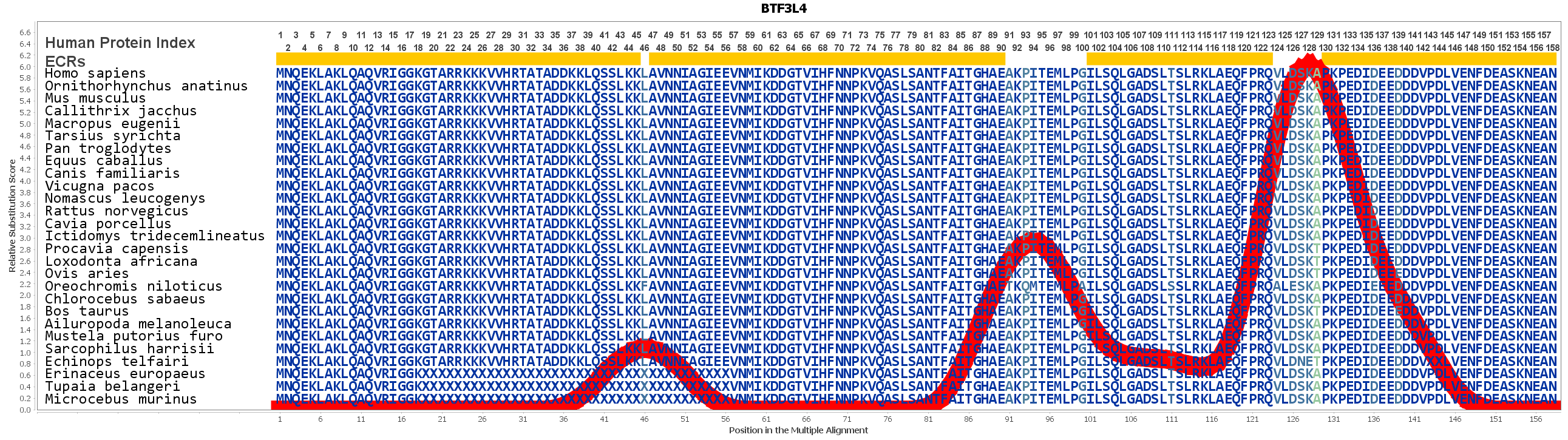 BTF3L4 Gene - GeneCards | BT3L4 Protein | BT3L4 Antibody