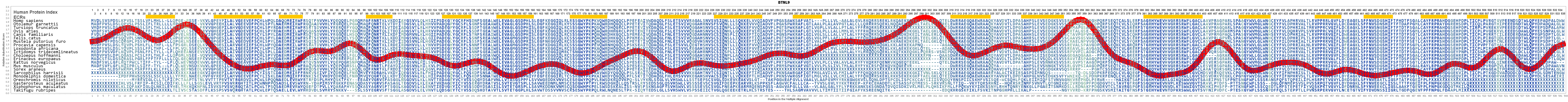BTNL9 Gene - GeneCards | BTNL9 Protein | BTNL9 Antibody