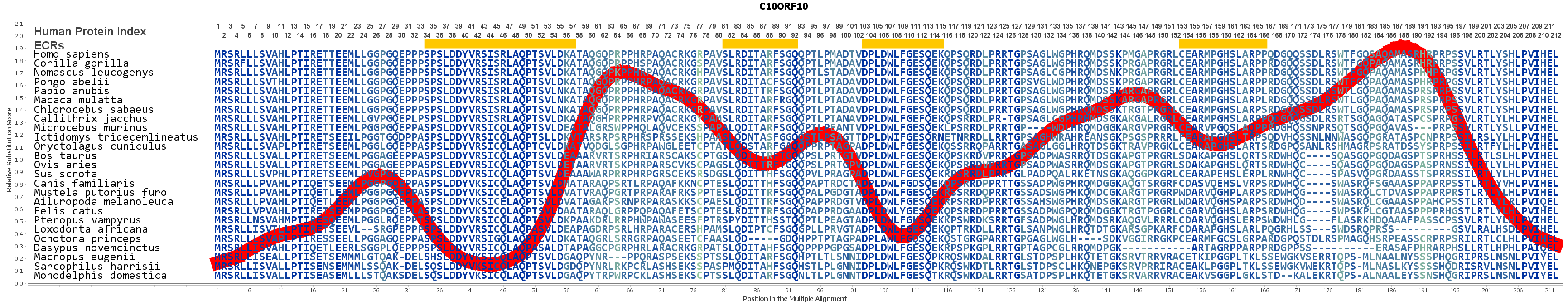 DEPP1 Gene - GeneCards | DEPP1 Protein | DEPP1 Antibody