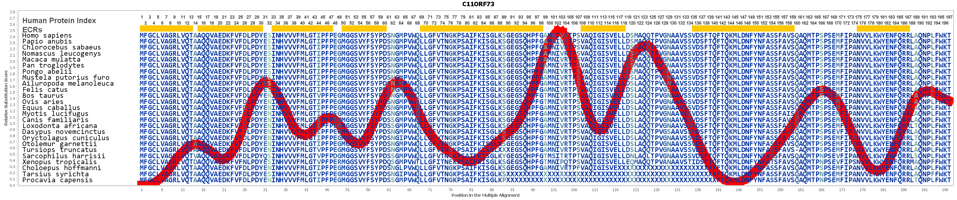 HIKESHI Gene - GeneCards | HIKES Protein | HIKES Antibody