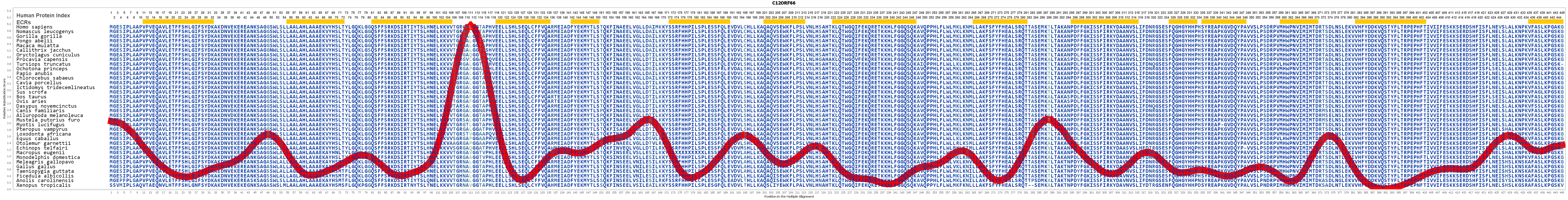 KICS2 Gene - GeneCards | KICS2 Protein | KICS2 Antibody
