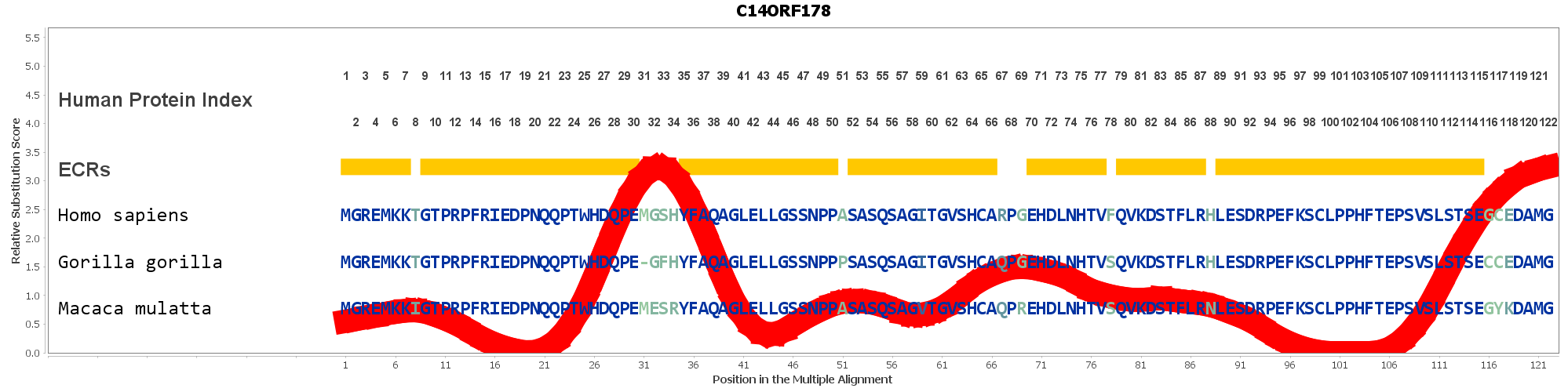 C14orf178 Gene - GeneCards | C14orf178 RNA Gene