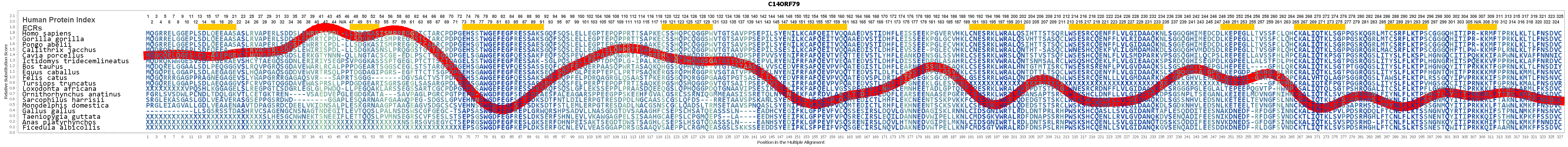 CLBA1 Gene - GeneCards | CLBA1 Protein | CLBA1 Antibody