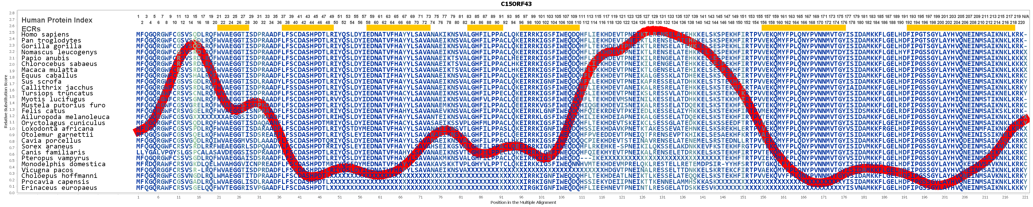 TERB2 Gene - GeneCards | TERB2 Protein | TERB2 Antibody