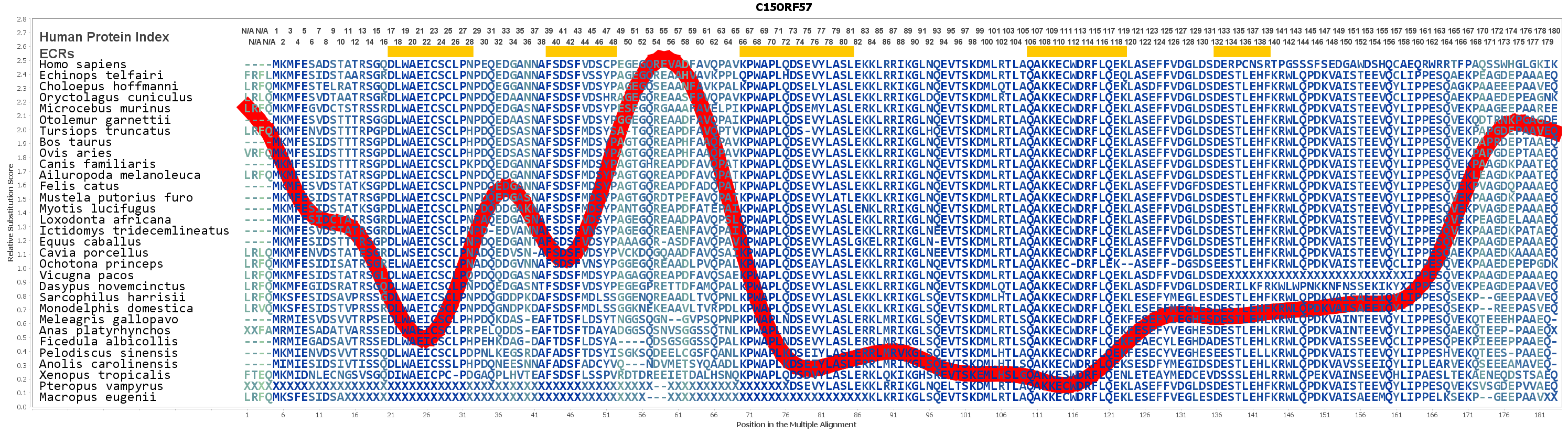 CCDC32 Gene - GeneCards | CCD32 Protein | CCD32 Antibody