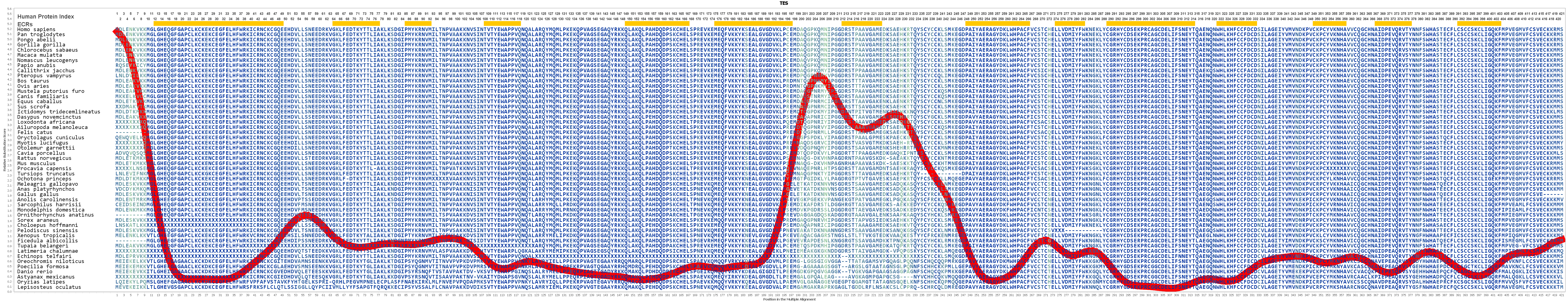 TES Gene - GeneCards | TES Protein | TES Antibody
