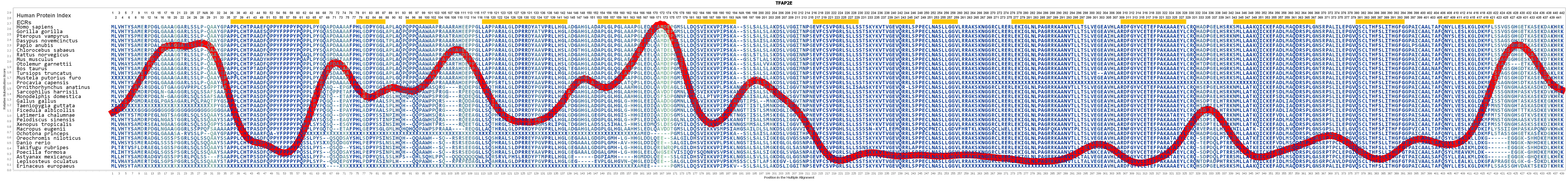 TFAP2E Gene - GeneCards | AP2E Protein | AP2E Antibody