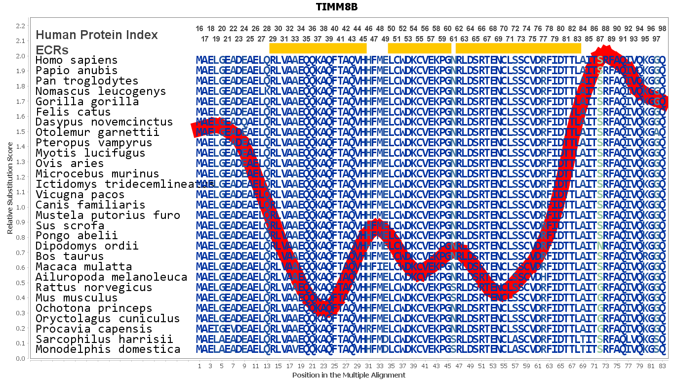 TIMM8B Gene - GeneCards | TIM8B Protein | TIM8B Antibody