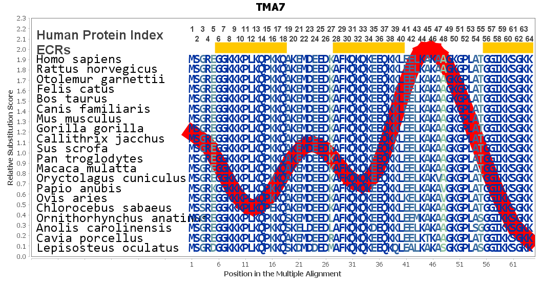 TMA7 Gene - GeneCards | TMA7 Protein | TMA7 Antibody