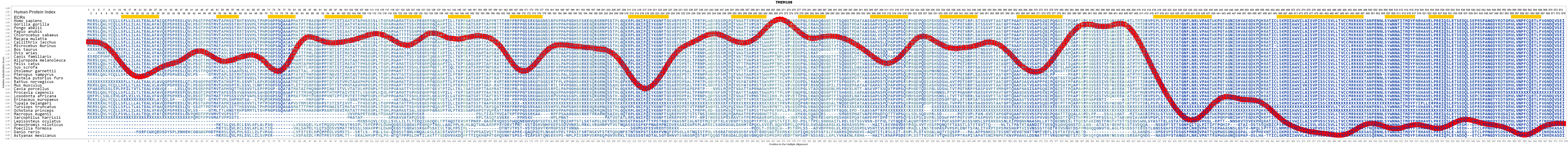 TMEM108 Gene - GeneCards | TM108 Protein | TM108 Antibody