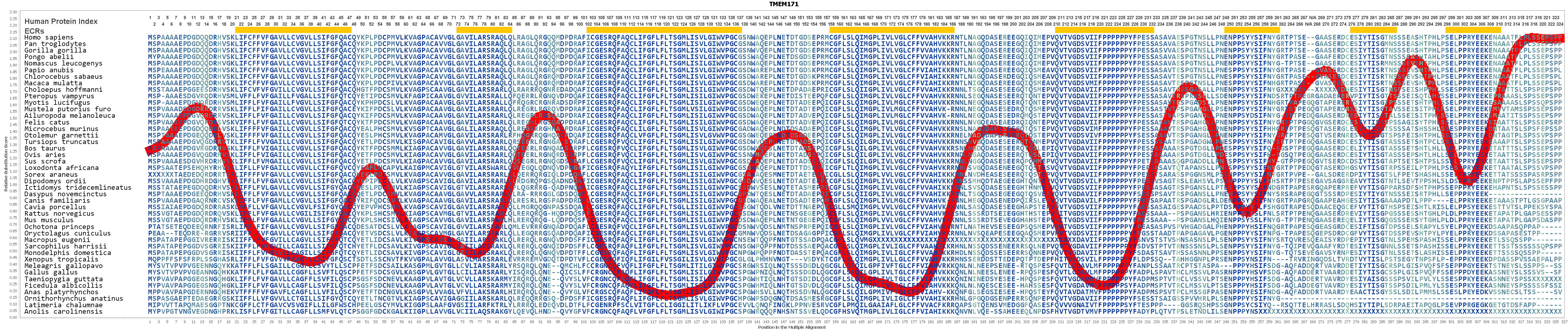 TMEM171 Gene - GeneCards | TM171 Protein | TM171 Antibody