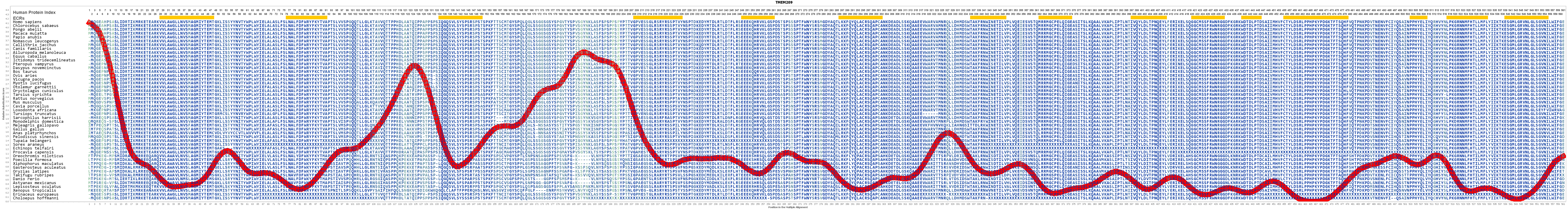 TMEM209 Gene - GeneCards | TM209 Protein | TM209 Antibody
