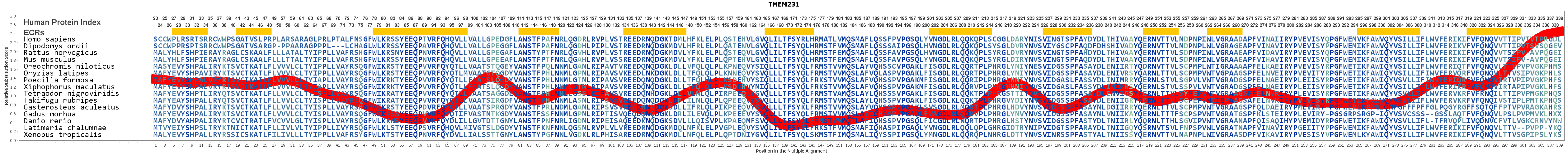TMEM231 Gene - GeneCards | TM231 Protein | TM231 Antibody