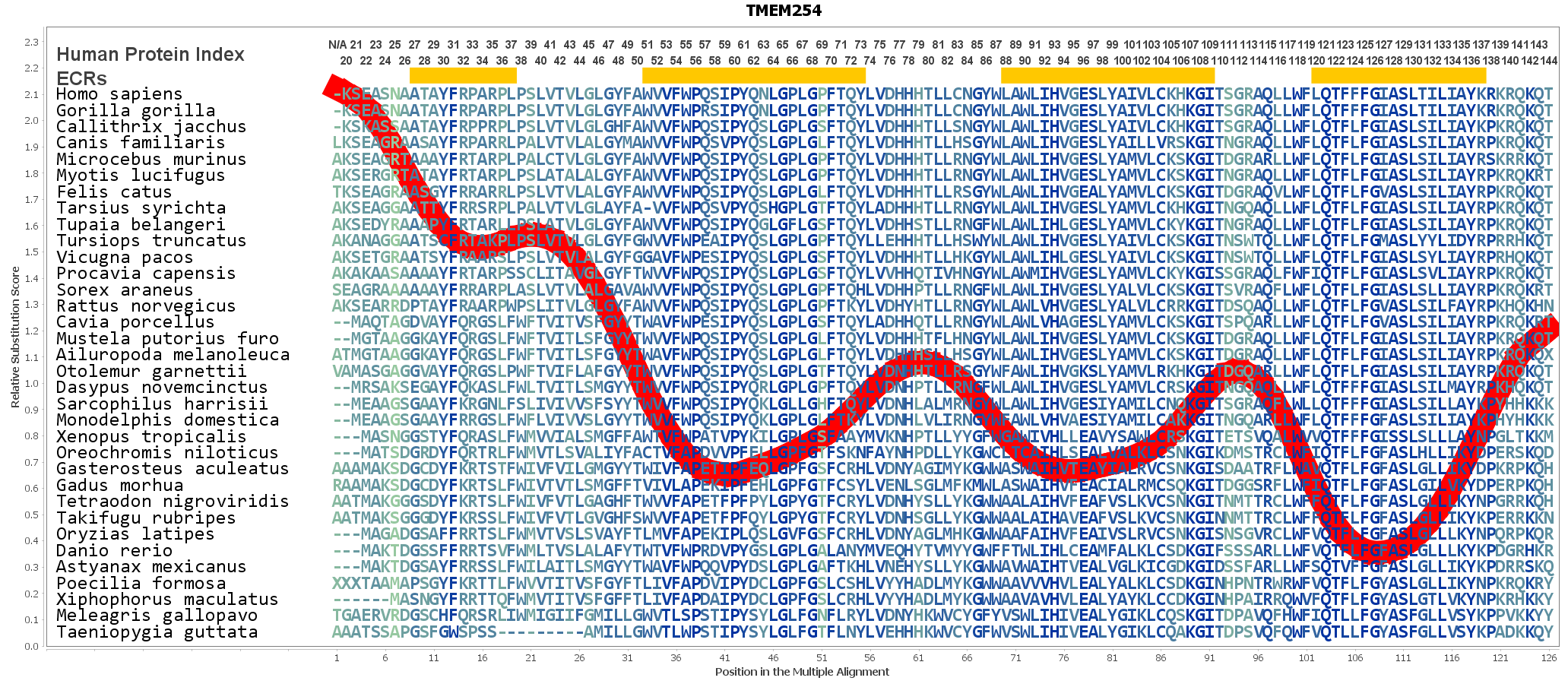 TMEM254 Gene - GeneCards | TM254 Protein | TM254 Antibody