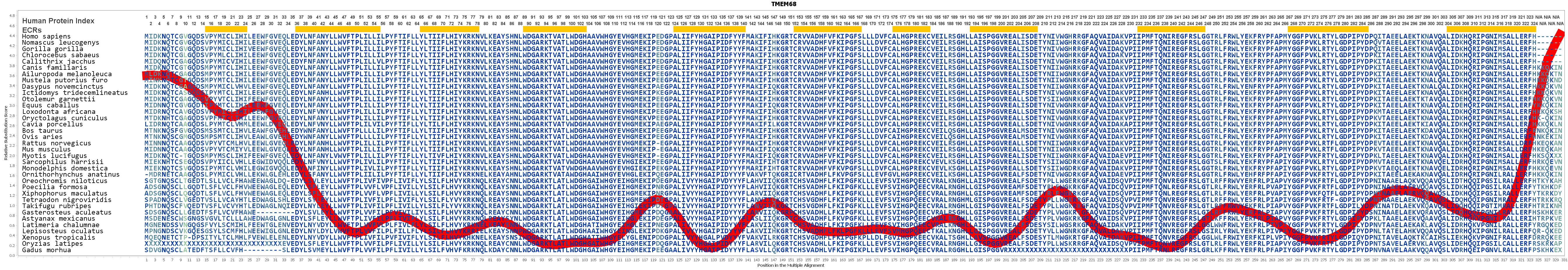 TMEM68 Gene - GeneCards | DIESL Protein | DIESL Antibody