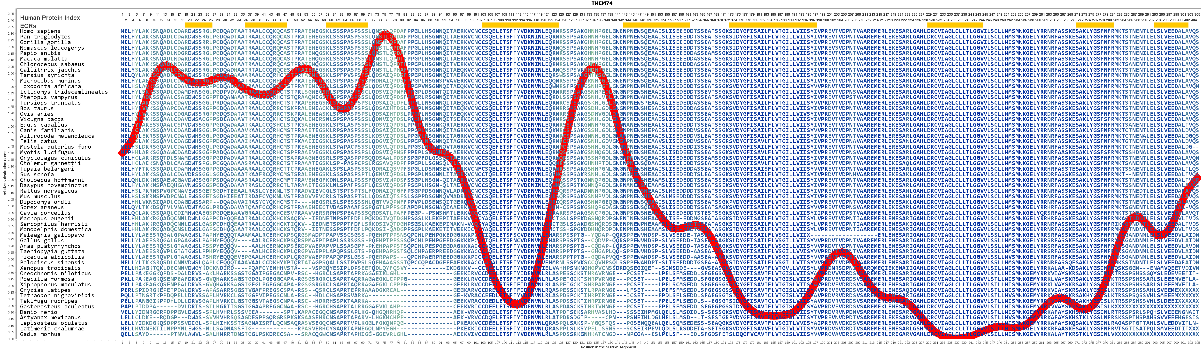 TMEM74 Gene - GeneCards | TMM74 Protein | TMM74 Antibody