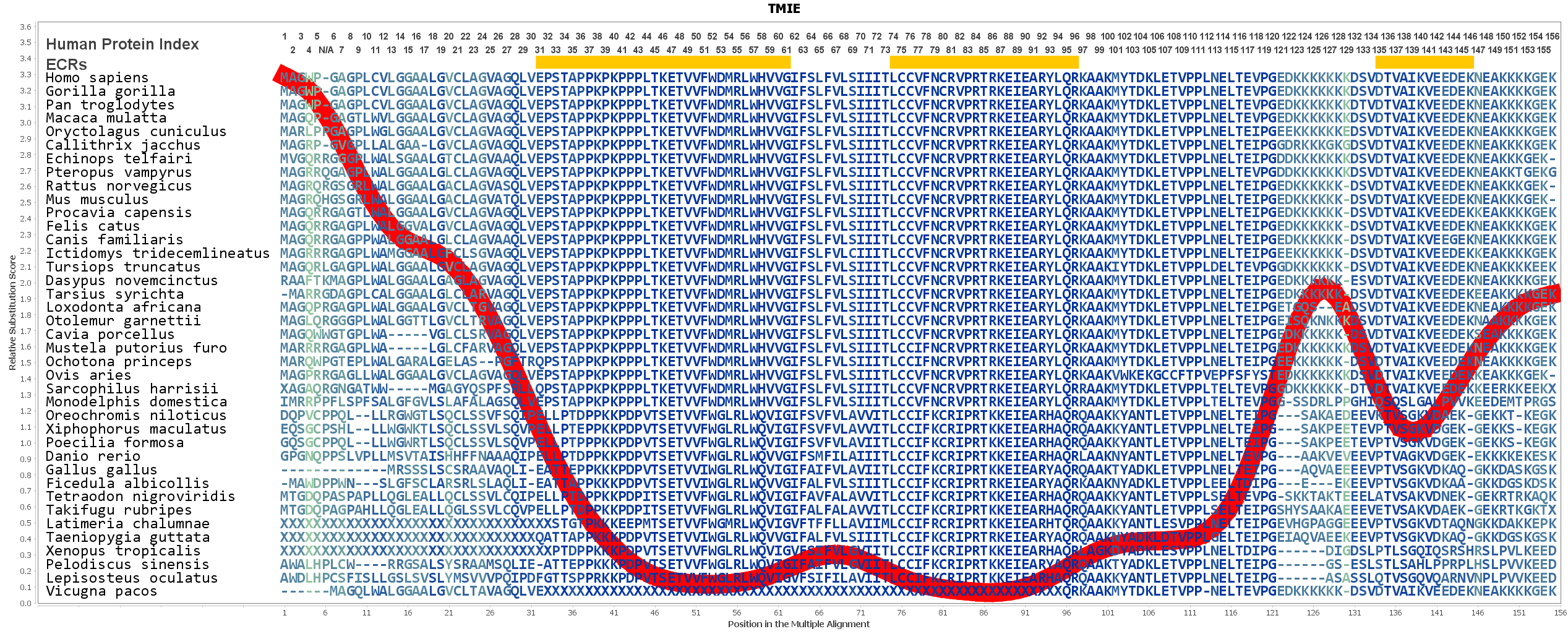 TMIE Gene - GeneCards | TMIE Protein | TMIE Antibody