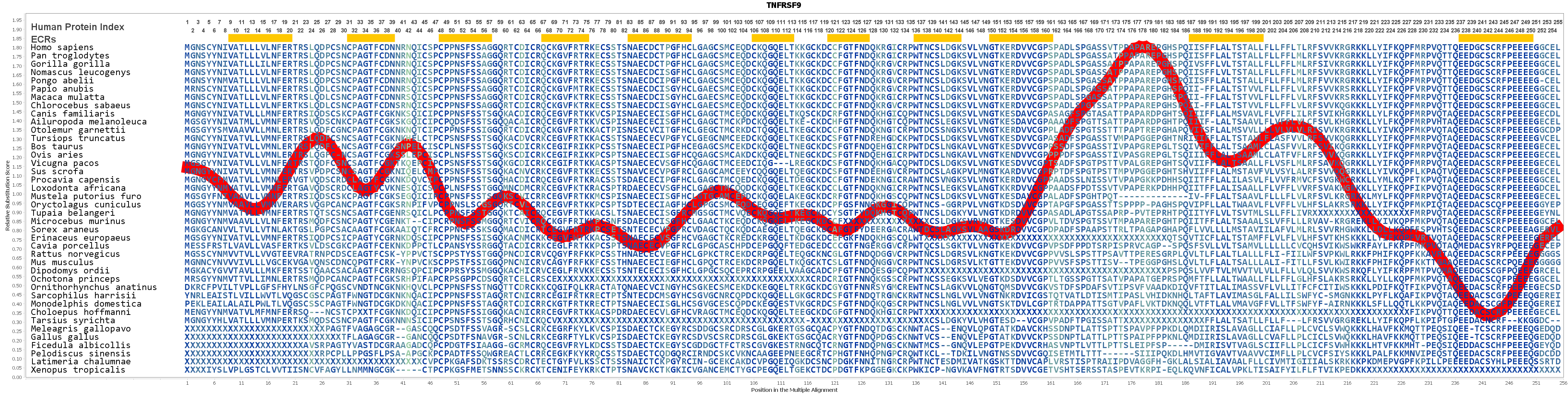 TNFRSF9 Gene - GeneCards | TNR9 Protein | TNR9 Antibody