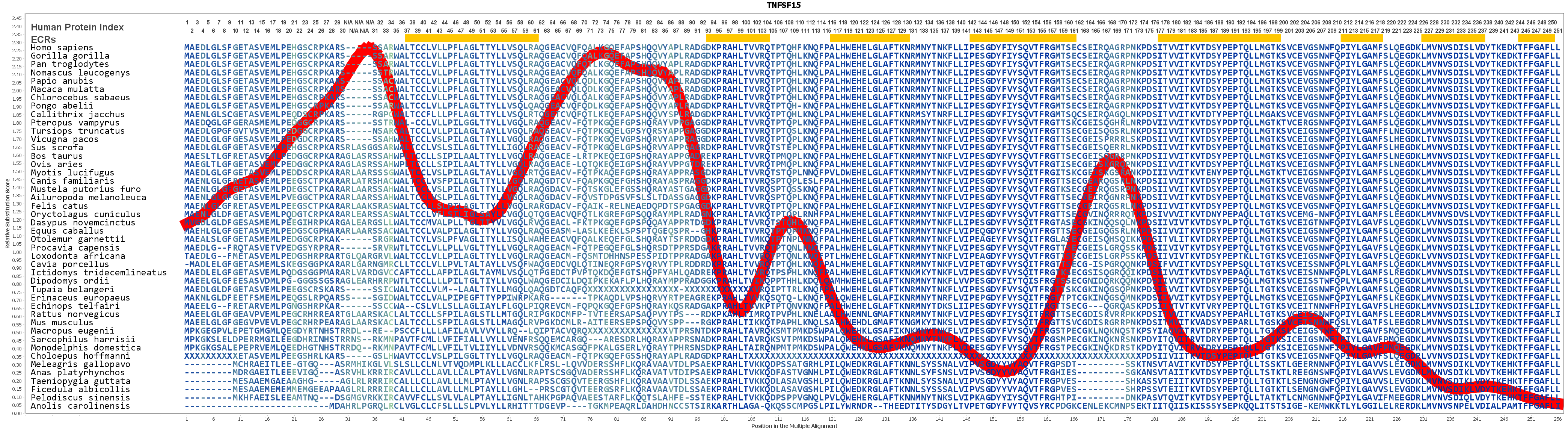 TNFSF15 Gene - GeneCards | TNF15 Protein | TNF15 Antibody