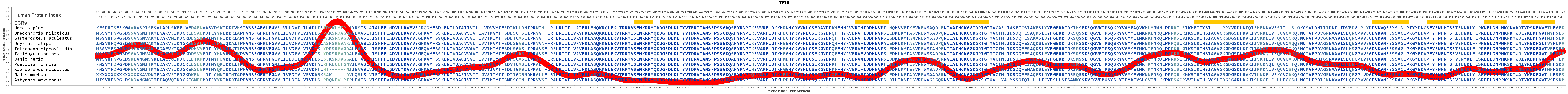 TPTE Gene - GeneCards | TPTE Protein | TPTE Antibody