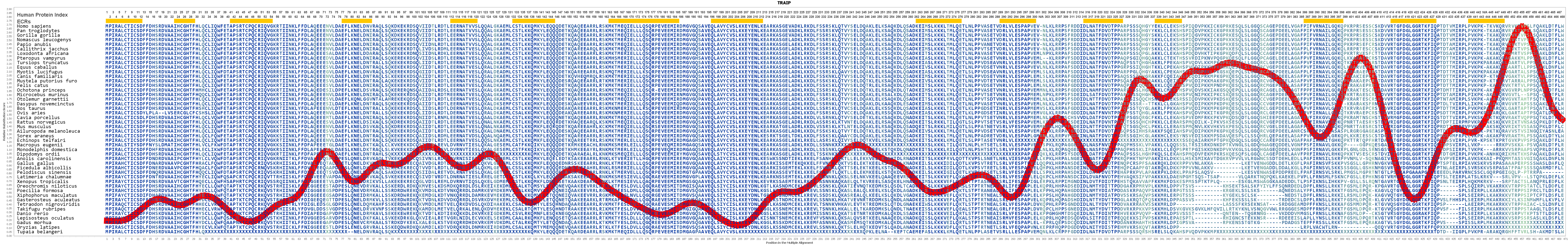 TRAIP Gene - GeneCards | TRAIP Protein | TRAIP Antibody