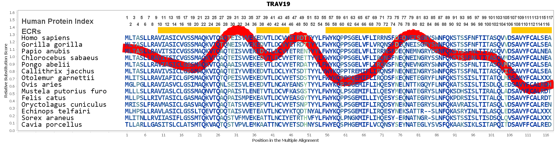 TRAV19 Gene - GeneCards | TVA19 Protein | TVA19 Antibody
