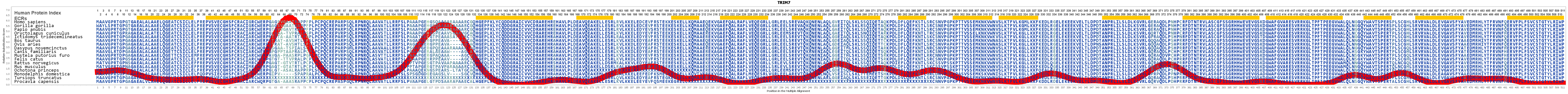 TRIM7 Gene - GeneCards | TRIM7 Protein | TRIM7 Antibody
