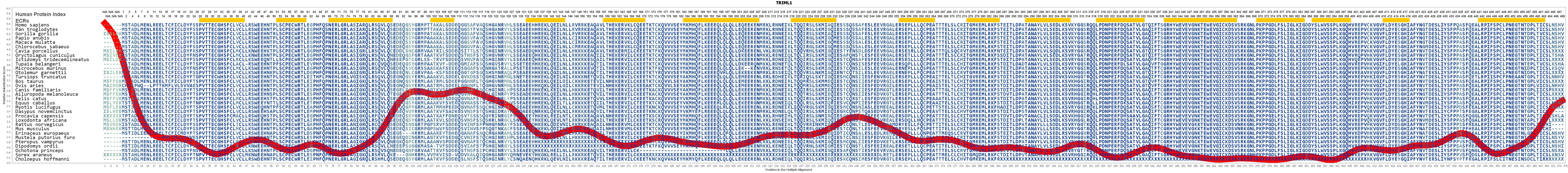 TRIML1 Gene - GeneCards | TRIML Protein | TRIML Antibody