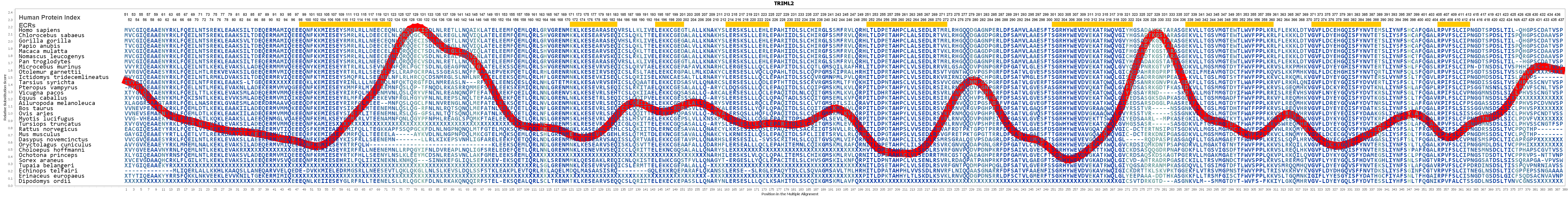 TRIML2 Gene - GeneCards | TRIMM Protein | TRIMM Antibody