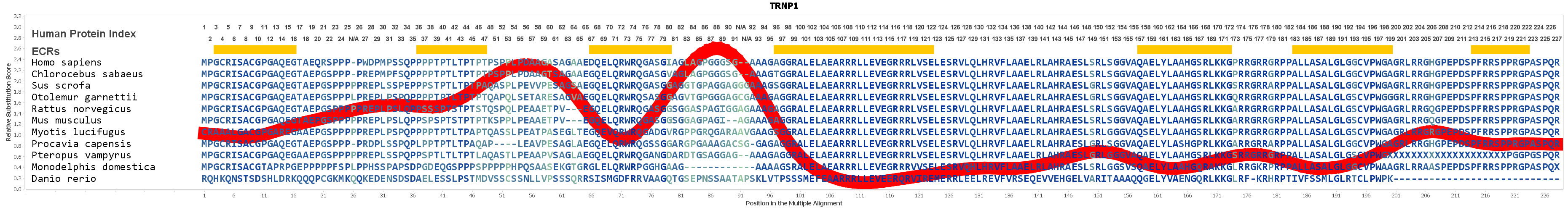 TRNP1 Gene - GeneCards | TRNP1 Protein | TRNP1 Antibody
