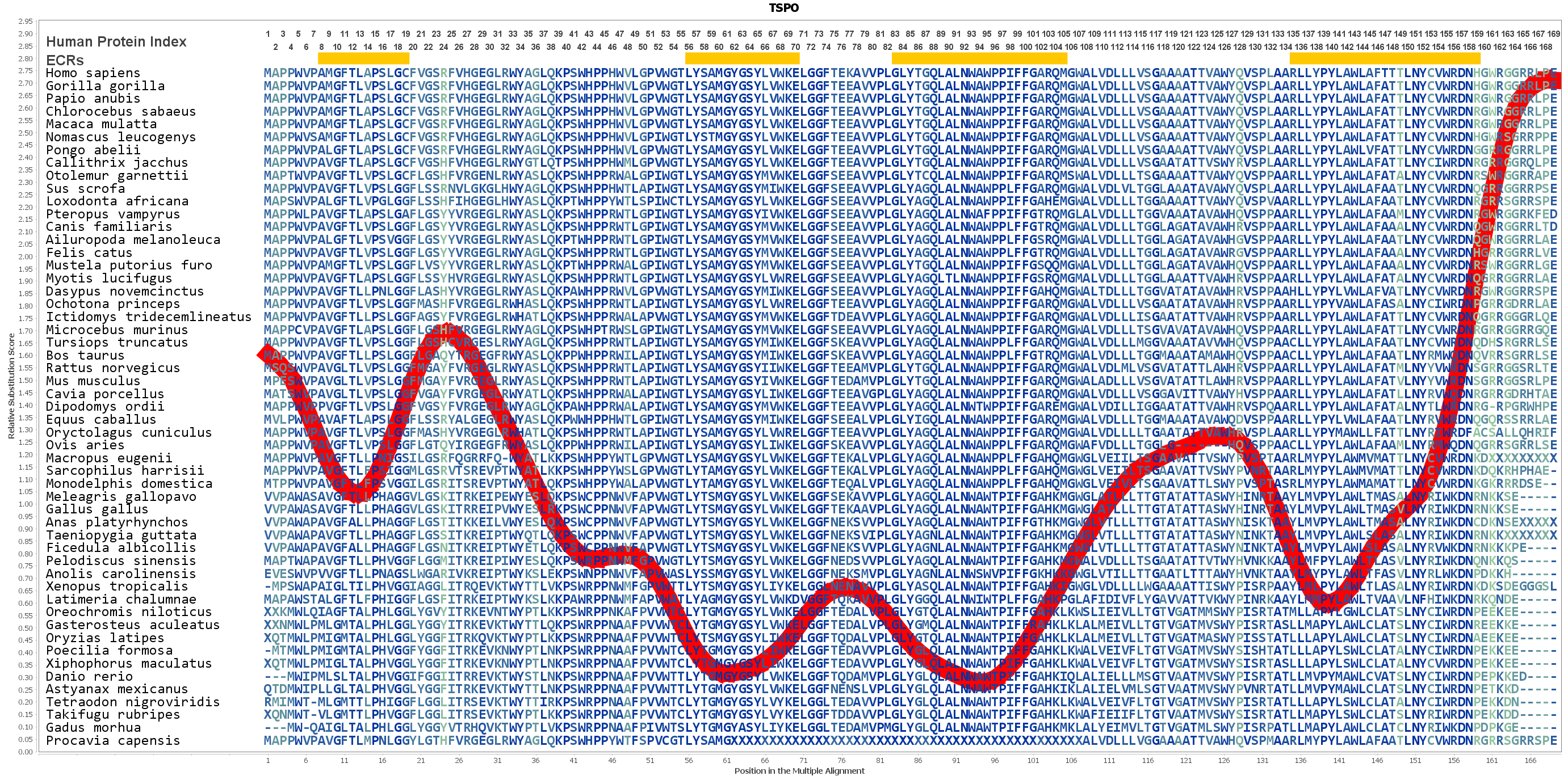 TSPO Gene - GeneCards | TSPOB Protein | TSPOB Antibody